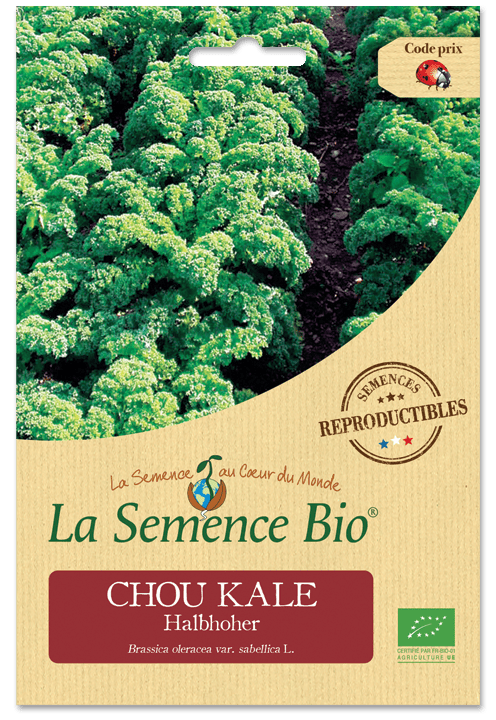 Graines : Chou Kale Bio Halbhoher. Certifié Bio | Acheter ces graines ...