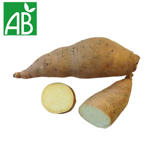 Patate Douce Bio : Plant Beauregard. Certifié Bio | Vente en ligne