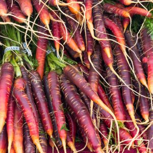 Graines de Carottes Bio Rouge Sang en Sachet - Certifié Bio